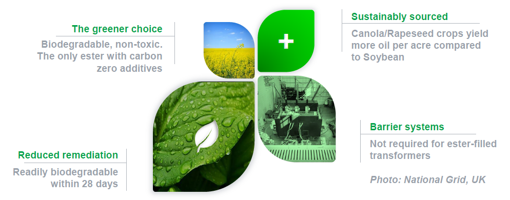 Transformer Retrofilling – Power Transcoteq Services